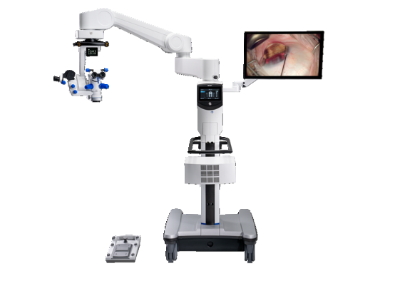Eyesi Indirect Ophthalmoscope ROP - Lern-Ressourcen